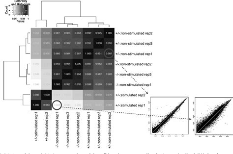 Figure 2 From The Artificial Loss Of Runx1 Reduces The Expression Of