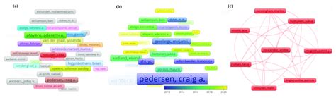 Co Authorship Visualization Network A Network Visualization Map
