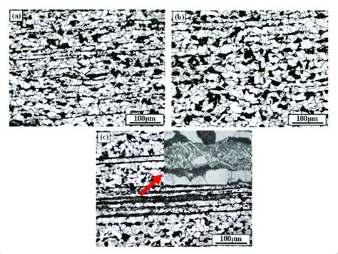 Microstructure Of The Steel Plate At Different Thickness Download