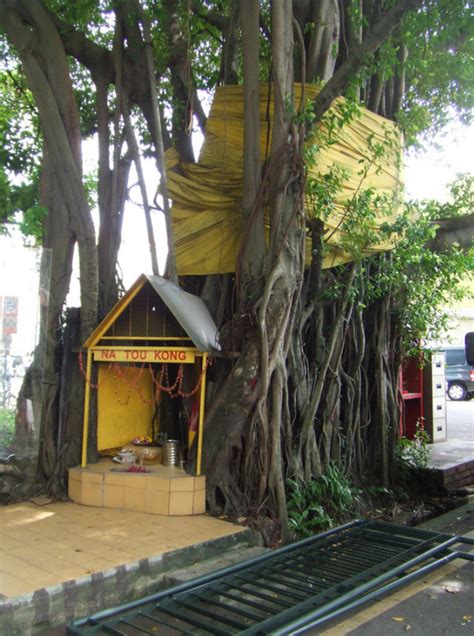 Multipurpose Trees And Plants Zero