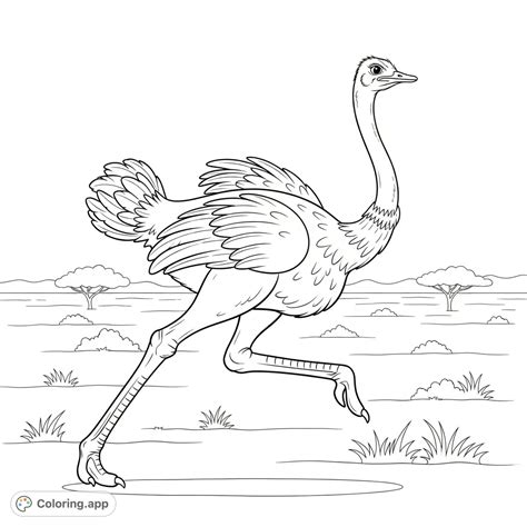 Running Ostrich On Open Savanna Coloringapp