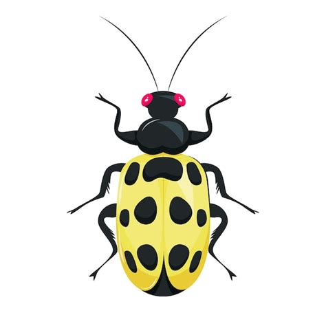 Premium Vector Vector Cartoon Funny Beetle Cockroach Mosquito