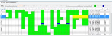 Caver Software Tool For Protein Analysis And Visualization