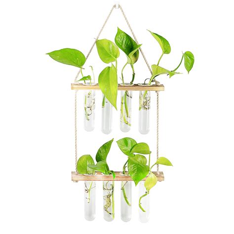 Væghængende Glas Planter Planter Formere Station M Grandado