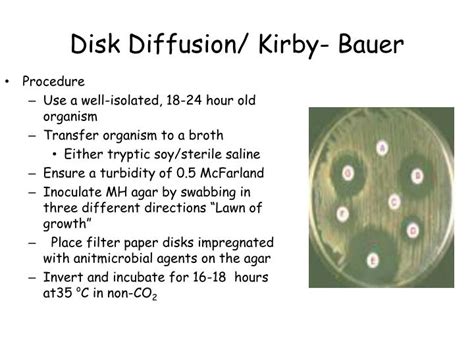 Ppt Antimicrobial Susceptibility Testing Ast Powerpoint Presentation Id 1731876