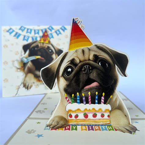 Funny Pug Birthday Cards