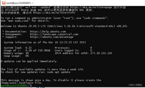 win10安装使用wsl2——搭建linux开发环境（1） win10 wsl set default version 2 csdn博客