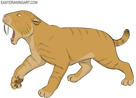 How To Draw A Saber Tooth Tiger Step By Step