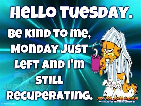 Saturday Humor Funny Morning Quotes Morning Humor Tuesday Humor