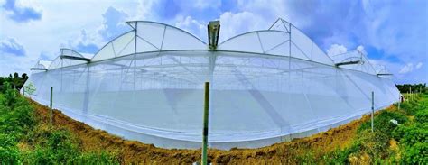 Polyethene Plastic Panel Build Agriculture Polyhouse Structure At ₹ 790square Meter In Ahmedabad