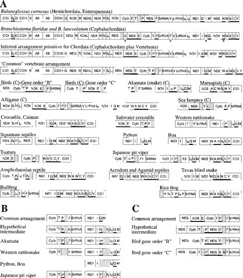 Single Linkage Cluster Analysis Semantic Scholar