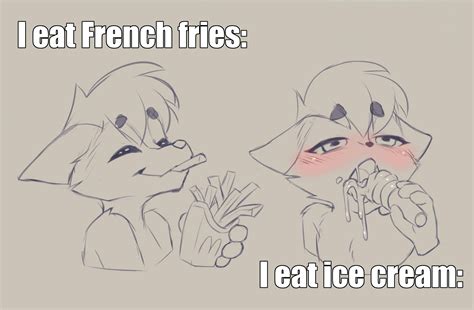 Furry Memes Exactly What It Sounds Like 3