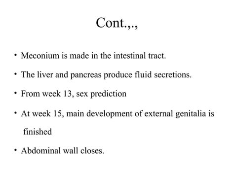 466416256 Stages Of Fetal Development Final Pptpptx