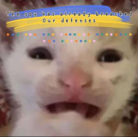 73 Best X Posting Images On Pholder Cremposting Grox Posting And