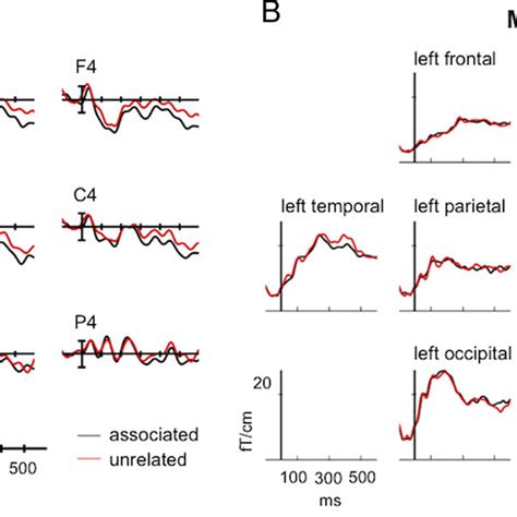 Group Averaged Eeg And Meg Sensor Level Signals Time Locked To The