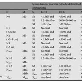 Testicular Seminoma And Non Seminoma ESMO Clinical Practice Guidelines Download Scientific