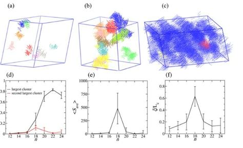 Percolation Phase Transition A C Several Largest Clusters In C12