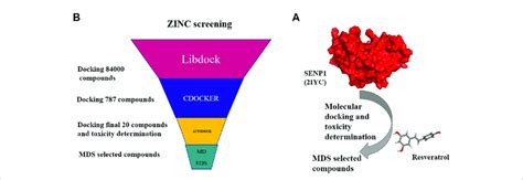 Flow Chart Of Research Stes A Molecular Docking And Molecular