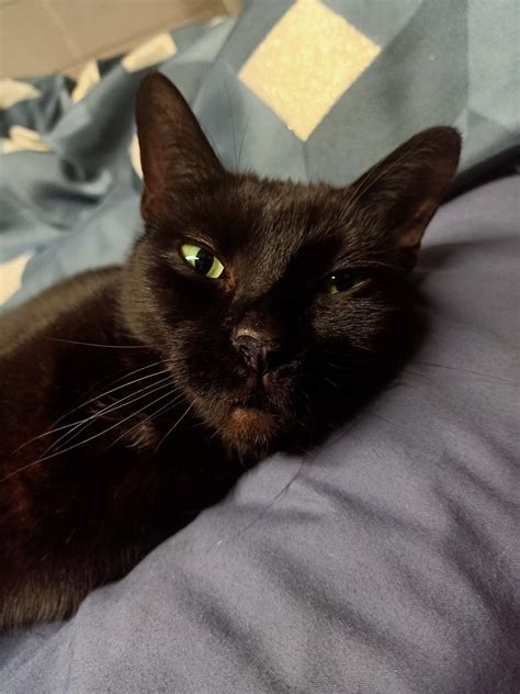 One Of My Favourite Photos Of My Best Friend Rcats