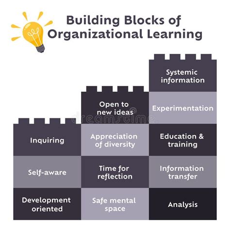 Building Blocks Of Organizational Learning Infographic Vector Stock Vector Illustration Of