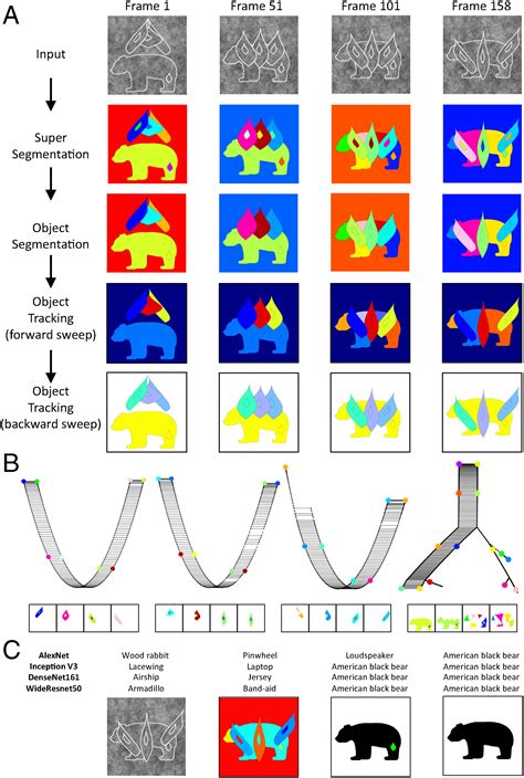 A Topological Solution To Object Segmentation And Tracking Pnas