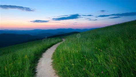 Picturesque Winding Path Through A Green Grass Field In Hilly Area At Sunset Stock Illustration