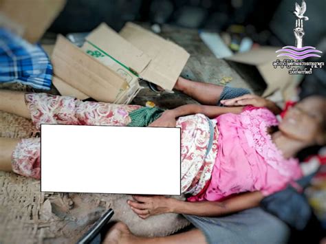 ဆားလင်းကြီးမြို့နယ်၊ ပလောင်ရွာကို စစ်တပ်က လက်နက်ကြီးဖြင့် ပစ်ခတ်မှု