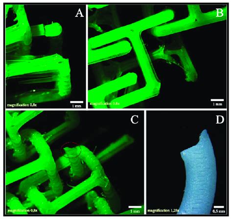 Microscopic Analysis Of The Fracture Zone A Stress Concentration Download Scientific Diagram