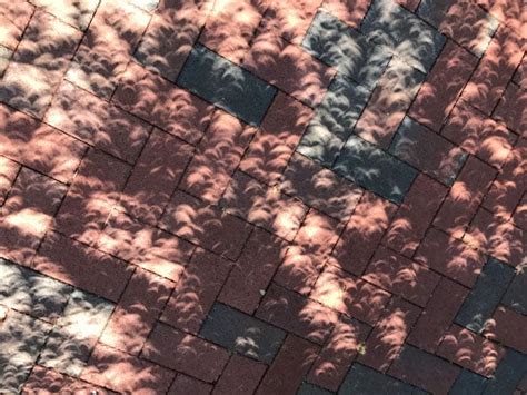 How To View The 2024 Solar Eclipse In Tampa Bay