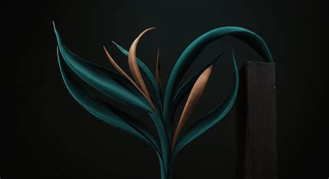 Ecocentrism → Term