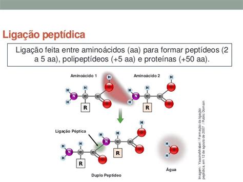 Tema 5 Composição Química Celular Proteinas