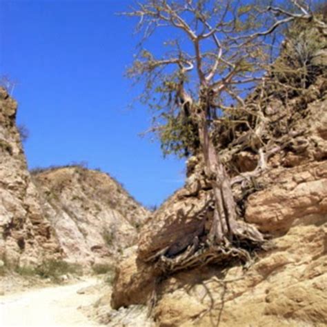 Cañón De Costa Azul Destinos México