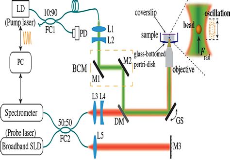 Figure 1 From Spectroscopic Photonic Force Optical Coherence