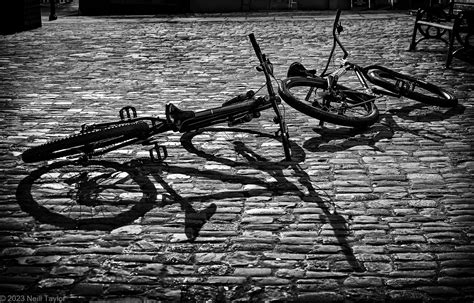 Selection 2023 Neill Taylor Photography