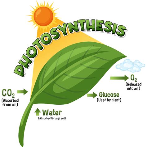 Chemical Energy Is A Form Of Which Energy Potential Energy Or Kinetic