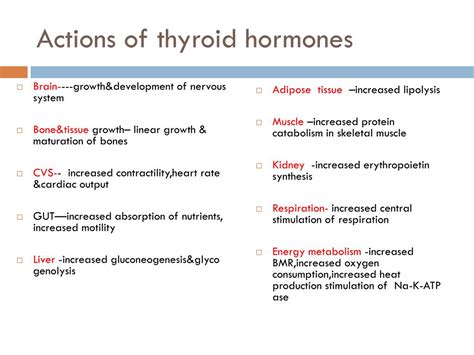 Ppt Thyroid Hormones Powerpoint Presentation Free Download Id7121312