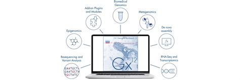 Simplify your bioinformatics analysis with the new CLC Genomics Workbench 12 - Bioinformatics ...