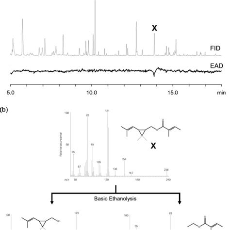 A Gas Chromatographyflame Ionization Detection Fid And Gas