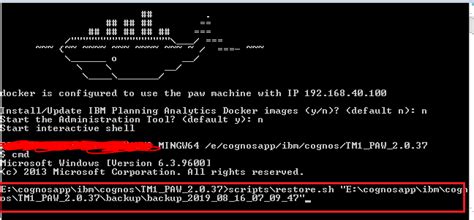 Ibm Planning Analytics Workspace Paw Full Backup And Restore
