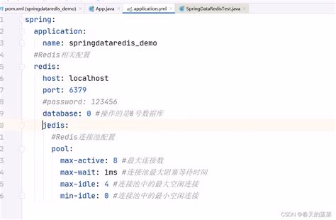 【redis】redis入门java操作redisjava Redis Csdn博客