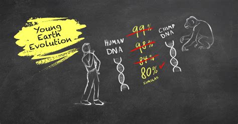Do Humans And Chimps Share A Common Ancestor Answers In Genesis