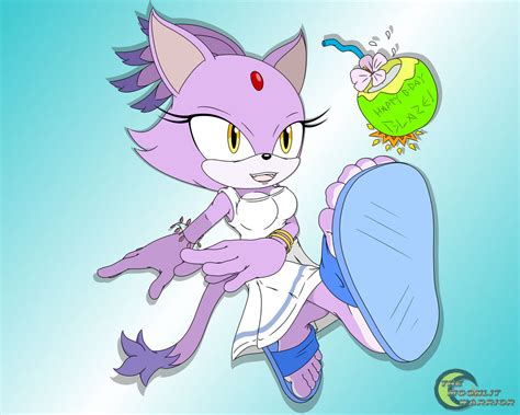 Happy Summer Blaze The Cat Sandal Alt By Themoonlitwarrior On Deviantart