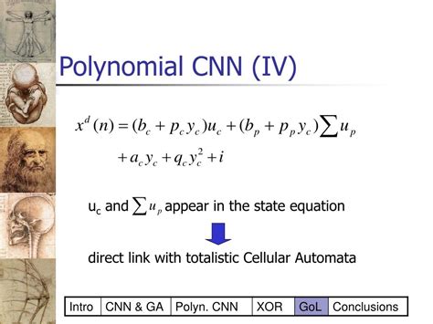 ppt polynomial discrete time cellular neural networks powerpoint
