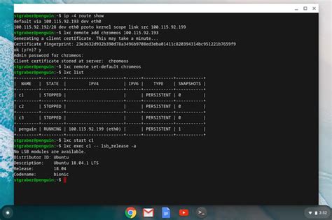 Using LXD On Your Chromebook Ubuntu