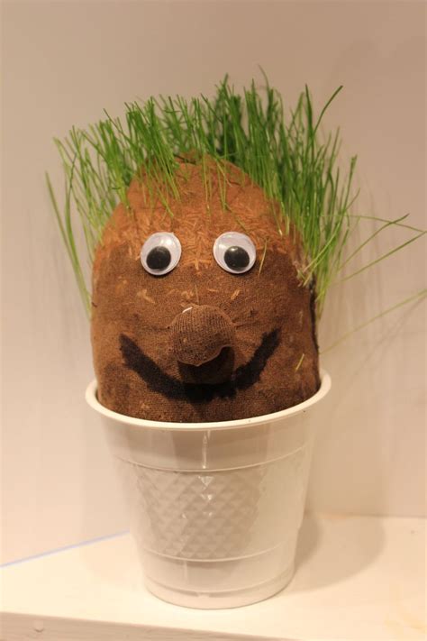 Grass Head Crafts At Dennis Chapman Blog