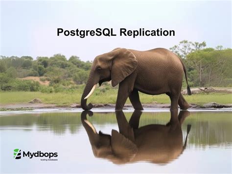 postgresql replication types setup and best practices by mydbops