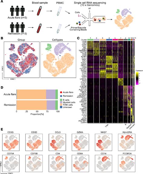 Single Cell Transcriptome Profiling Of Pbmcs Between Gout Flare And