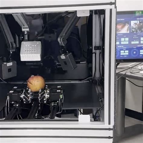 지능형 농업화를 위한 인공지능 이미지 데이터 구축 및 품질관리 시스템 개발 일반 프로그램 포트폴리오 크몽