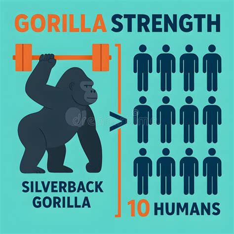 Silverback Gorilla Strength Comparison Infographic Stronger Than 10