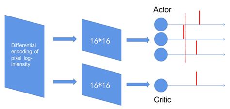 An Implementation Of Actor Critic Algorithm On Spiking Neural Network